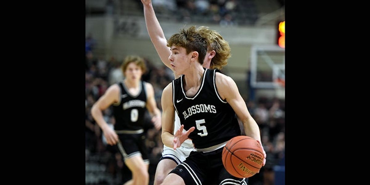 Wildcats use their defense to outlast Awesome Blossoms in Section 1A f...