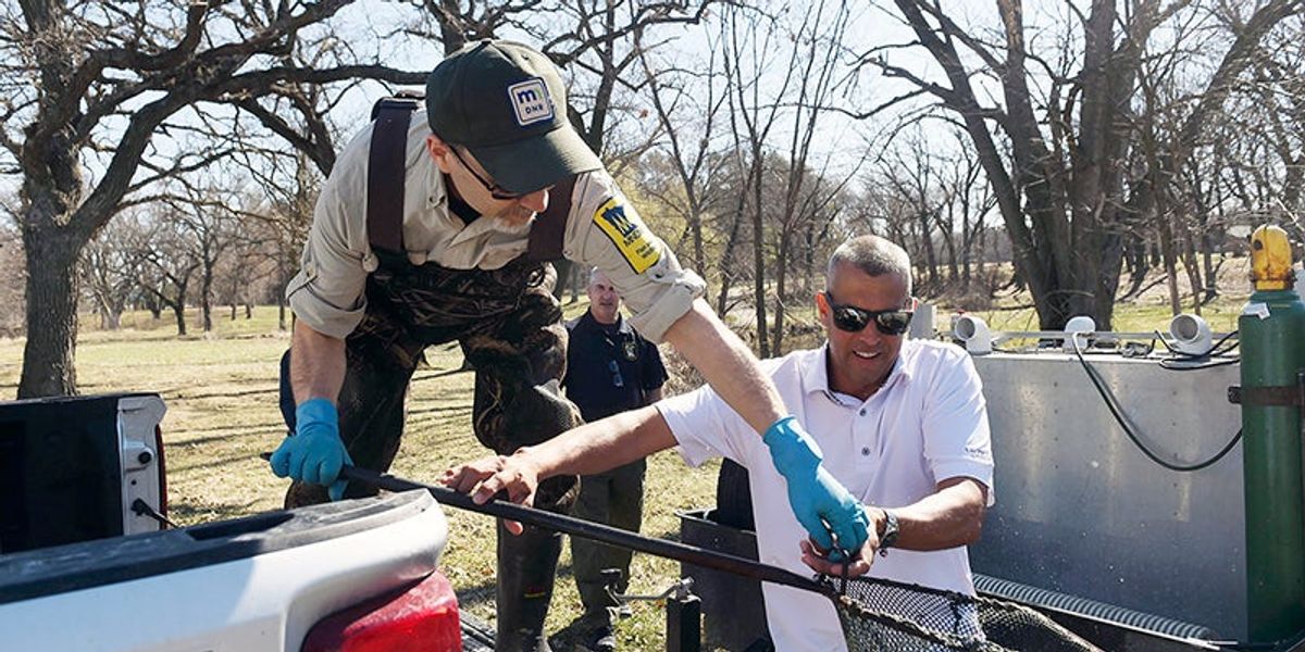 For 4th year trout put into Wolf Creek