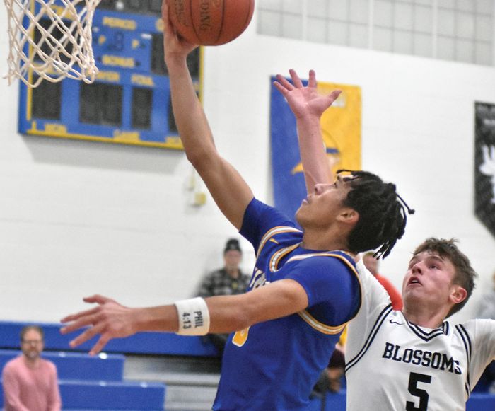Vikings clamp down on Awesome Blossoms in home win