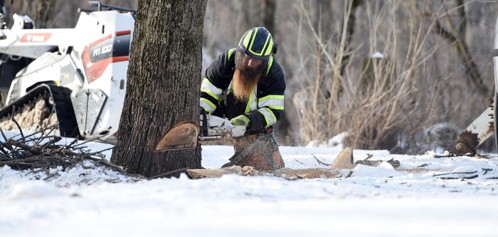 Nature Center begins removal of EAB affected ash trees along its trail...