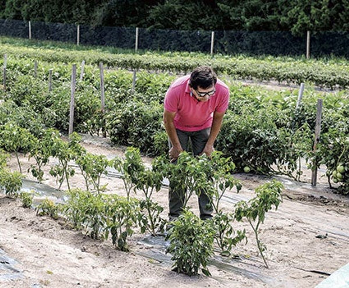 A growing partnership; La Surena continues to grow into seco...