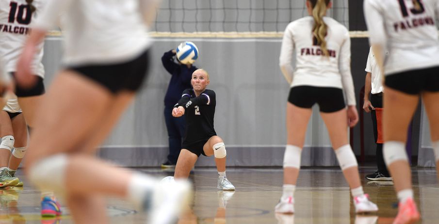 Hayfield tops Austin as Watson homers