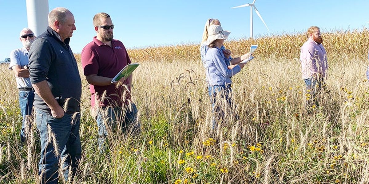 Prairie strips new tool for farmers