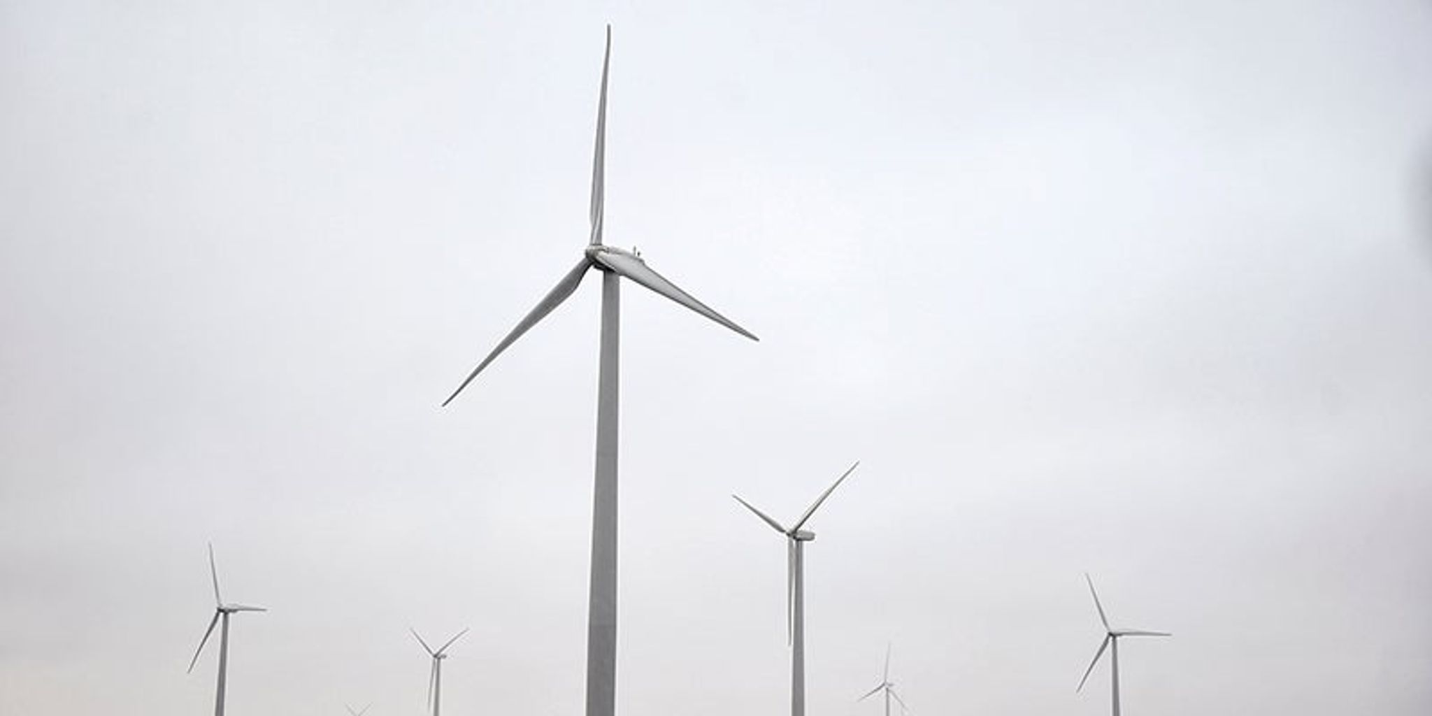 U.S. judge rules Trump administration’s freeze on wind energ...
