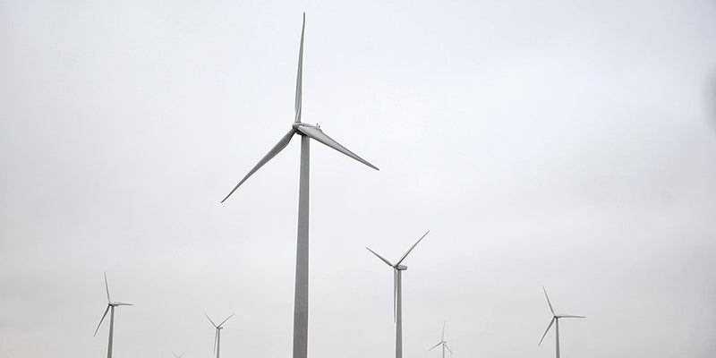 U.S. judge rules Trump administration’s freeze on wind energ...
