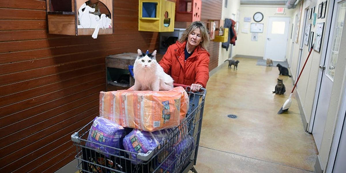 Austin Living: For the Animals