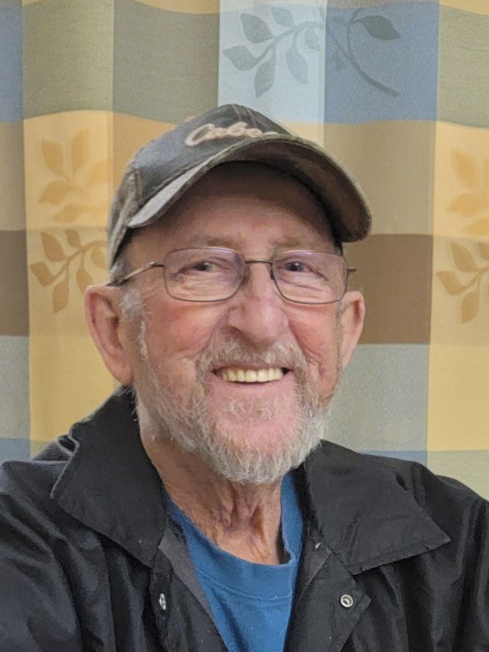 Wayne Harvey Brandt, 82