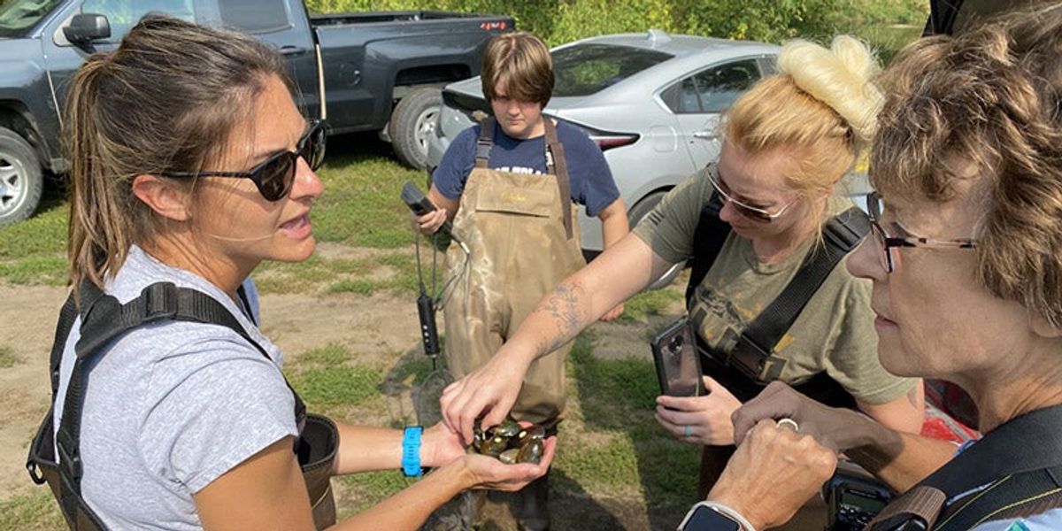 Cedar River's mussels getting stronger