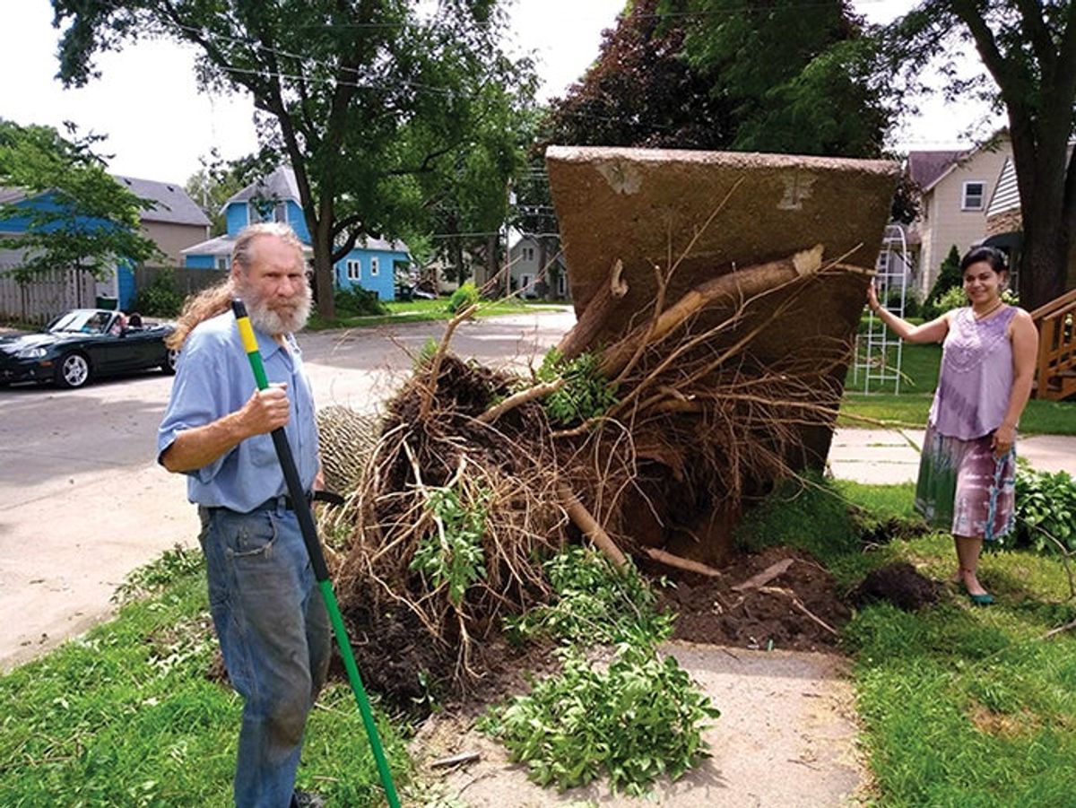 Photo: Storm clean-up