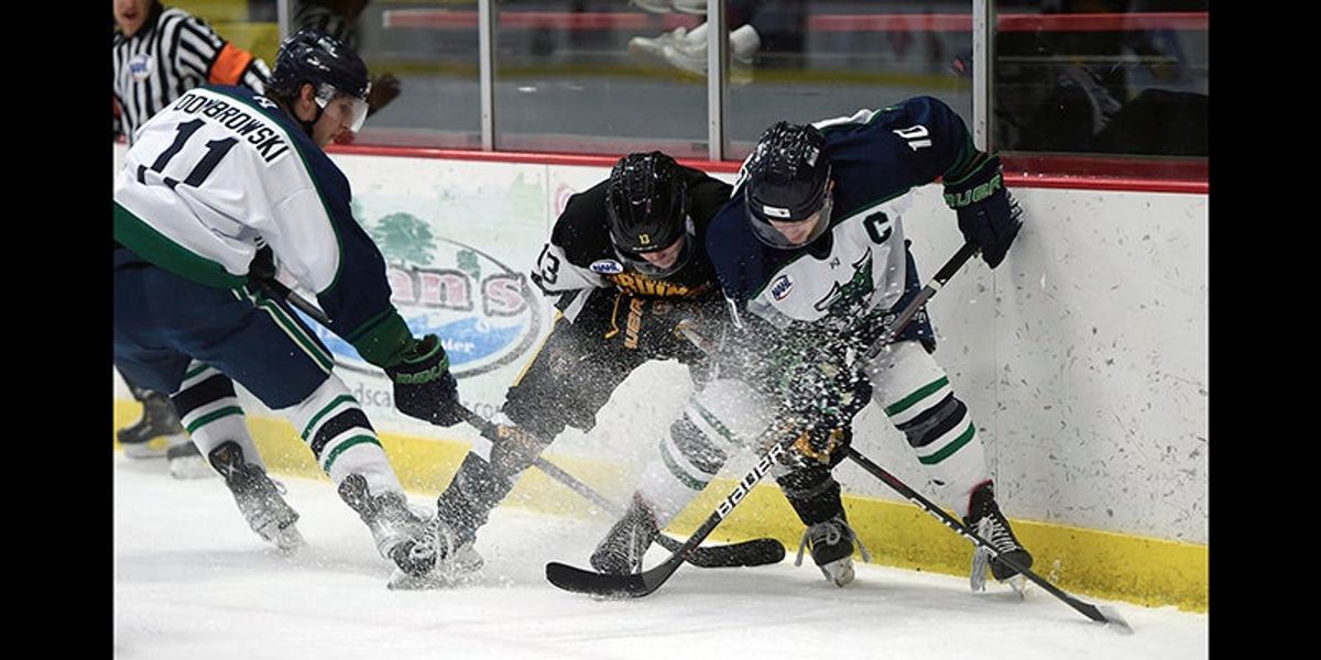 Bruins winning streak snapped in loss to Bulls