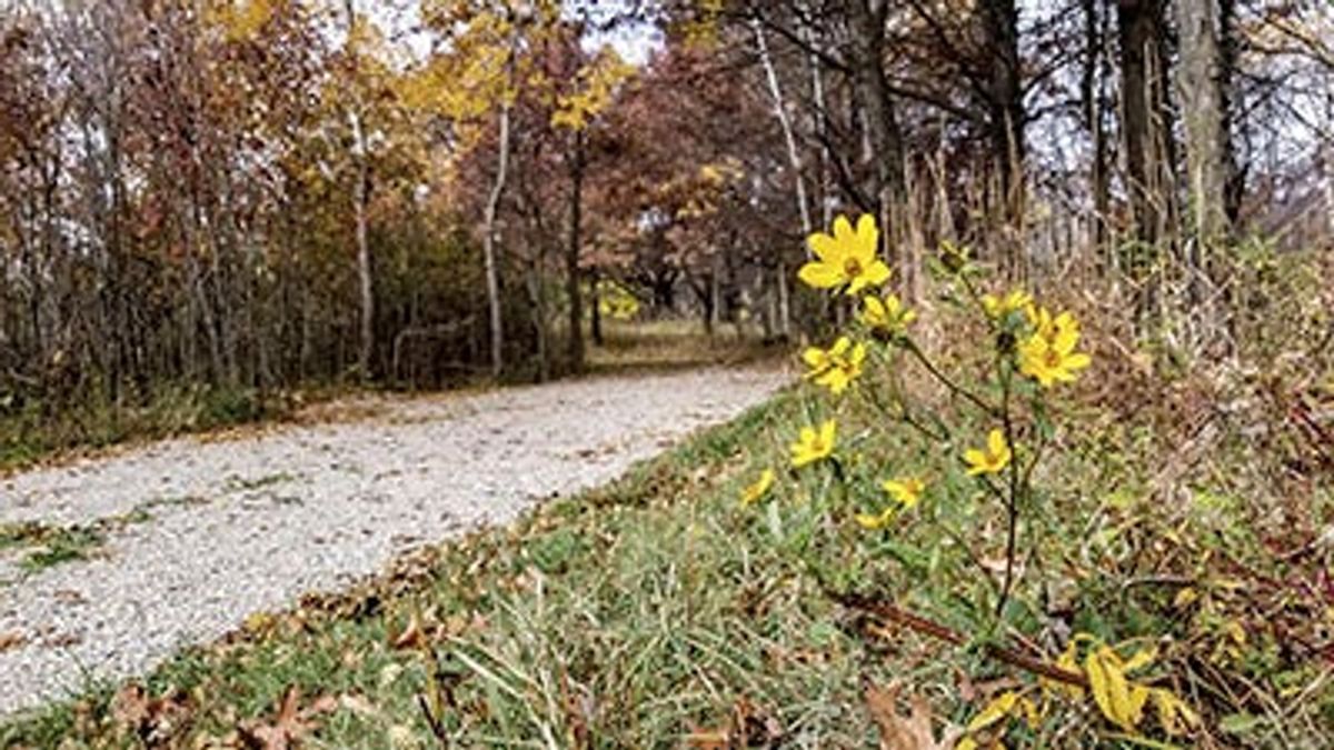 Jay C. Hormel Nature Center to improve trail access with major paving ...