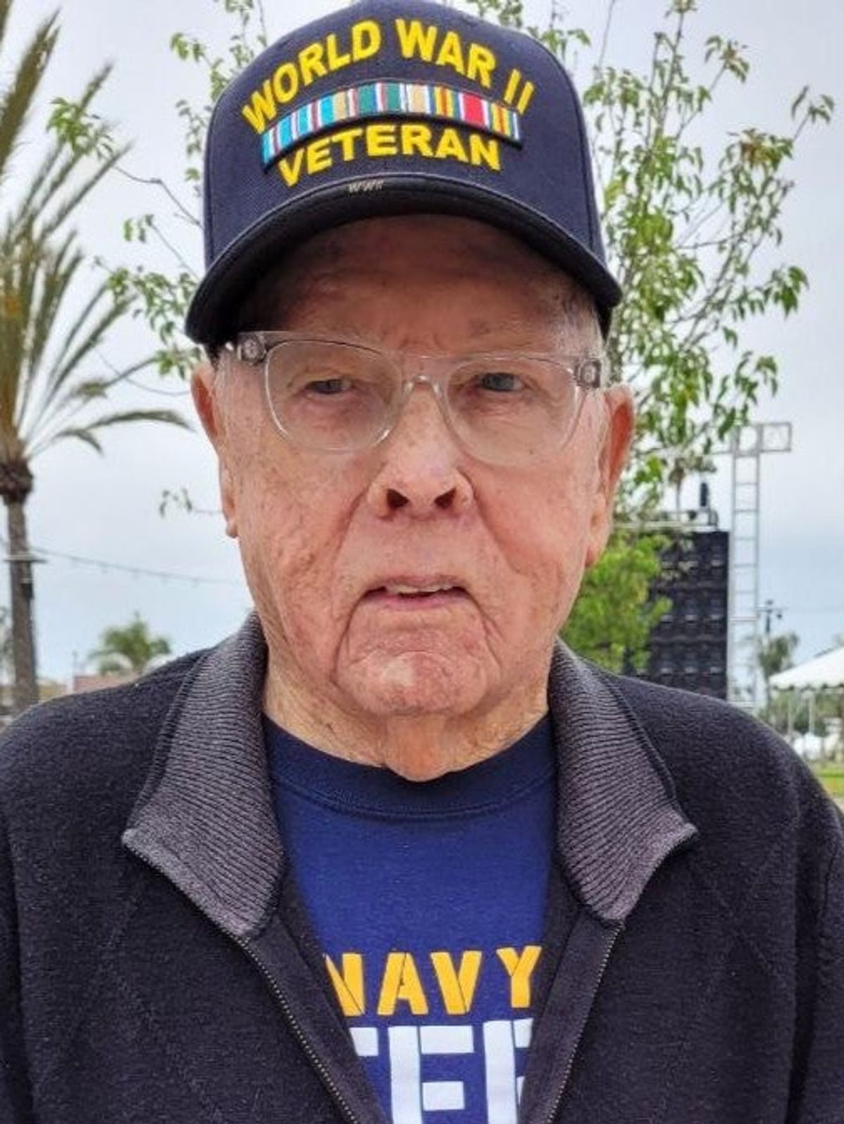 Harold L. Gomer, 100