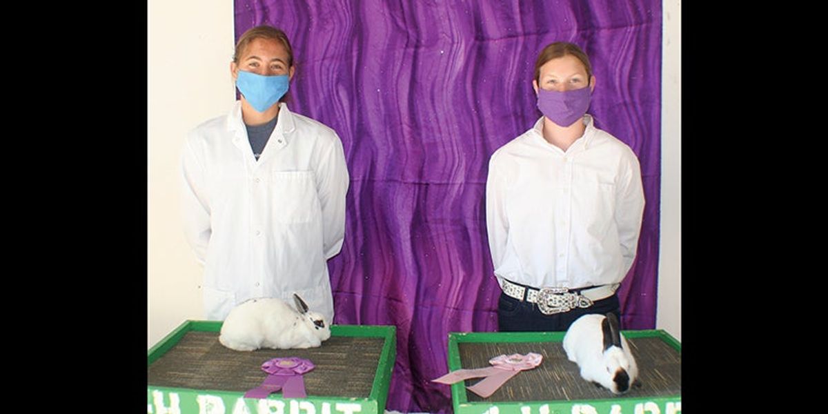 Photos: 4-H holds rabbit show