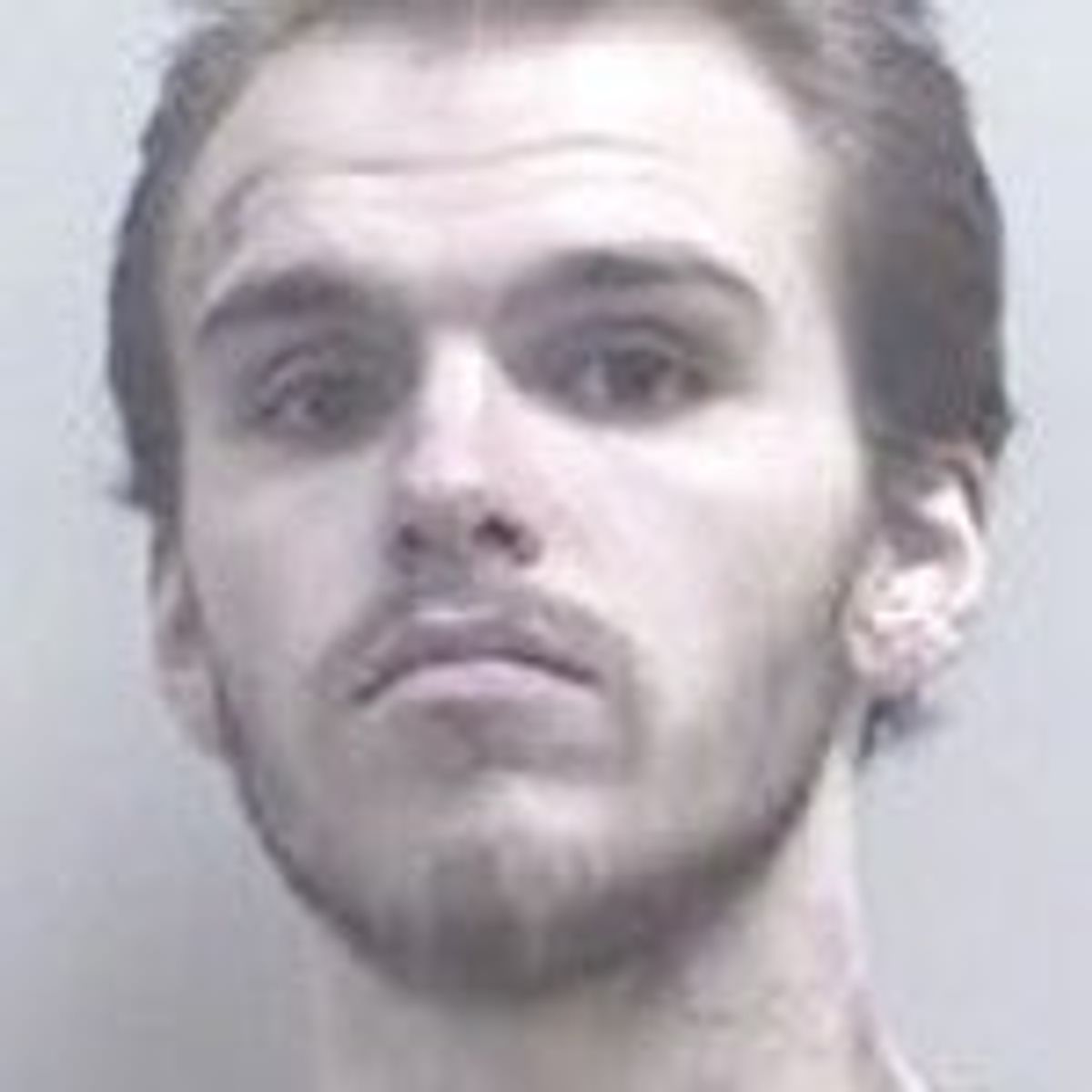 Leeper charged for going on crime spree the same day he post...