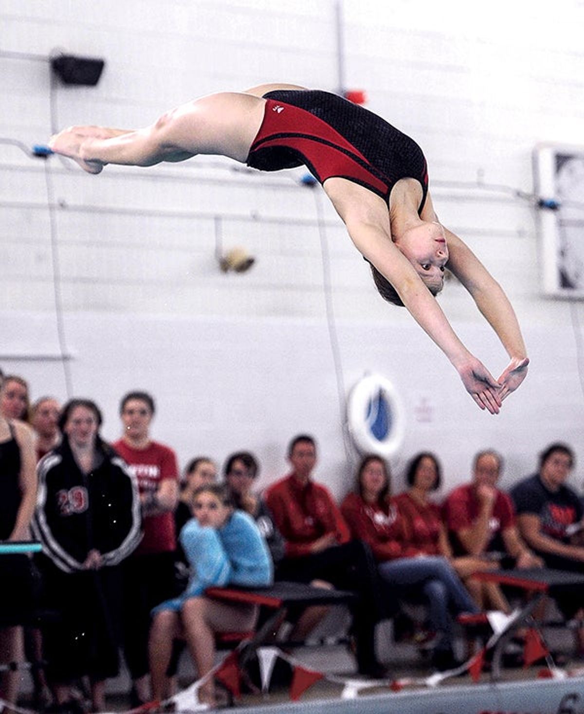 Austin swimmers compete in Section 1A meet