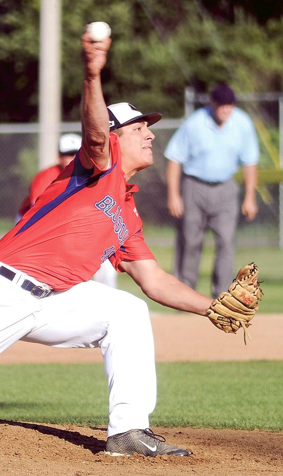 Nelson pitches Hounds past Blue Sox in section opener