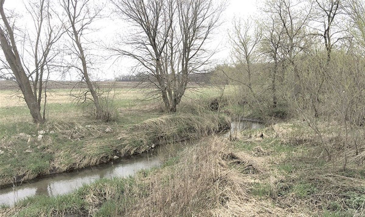 Mower SWCD assisting landowners with state buffer law