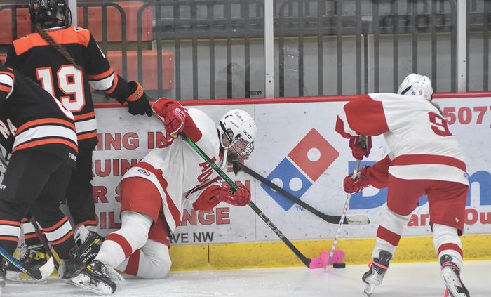Closing statement: Packer girls hockey team outlasts Winhawk...