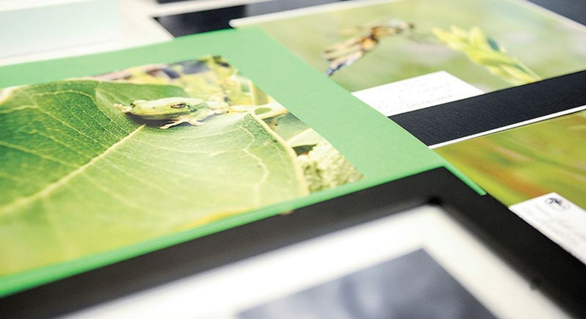 The nature of art; Jay C. Hormel Nature Center preparing for second ar...