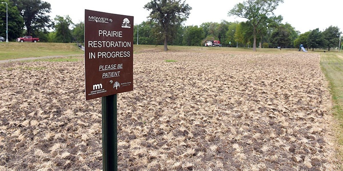 Prairie project progresses in Austin