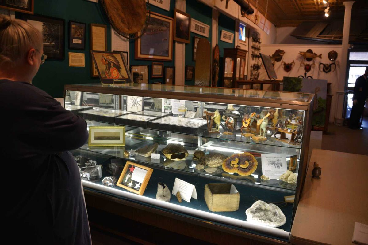 Museum Announces Three New Displays