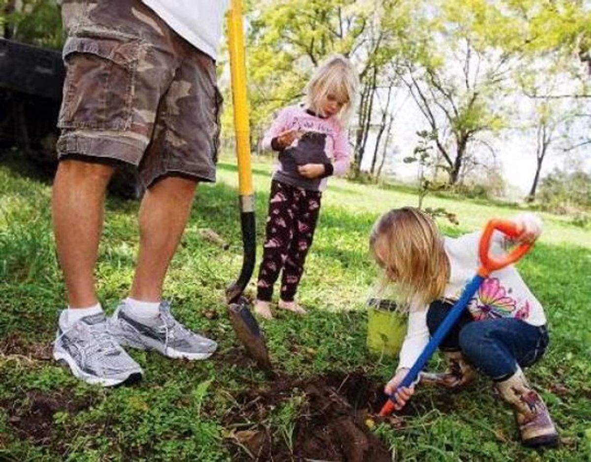 Celebrate native trees with MDC through Arbor Days in April