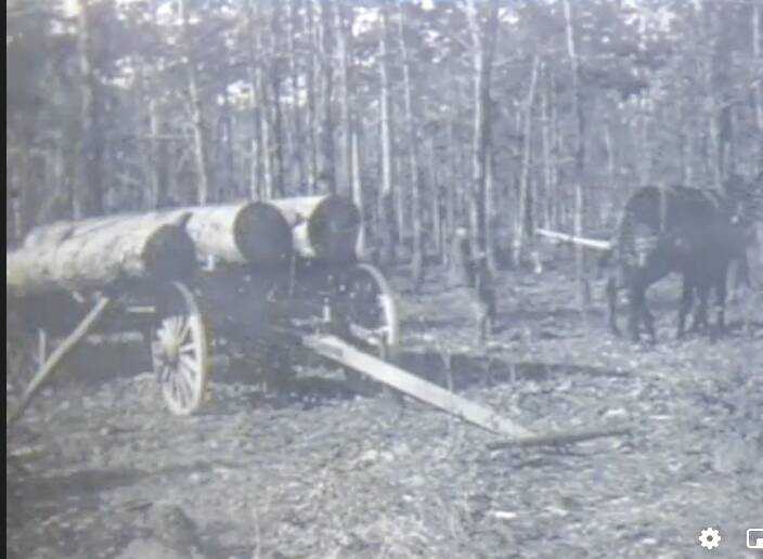 Ozark Timber Industry Bicentennial Program Here June 22