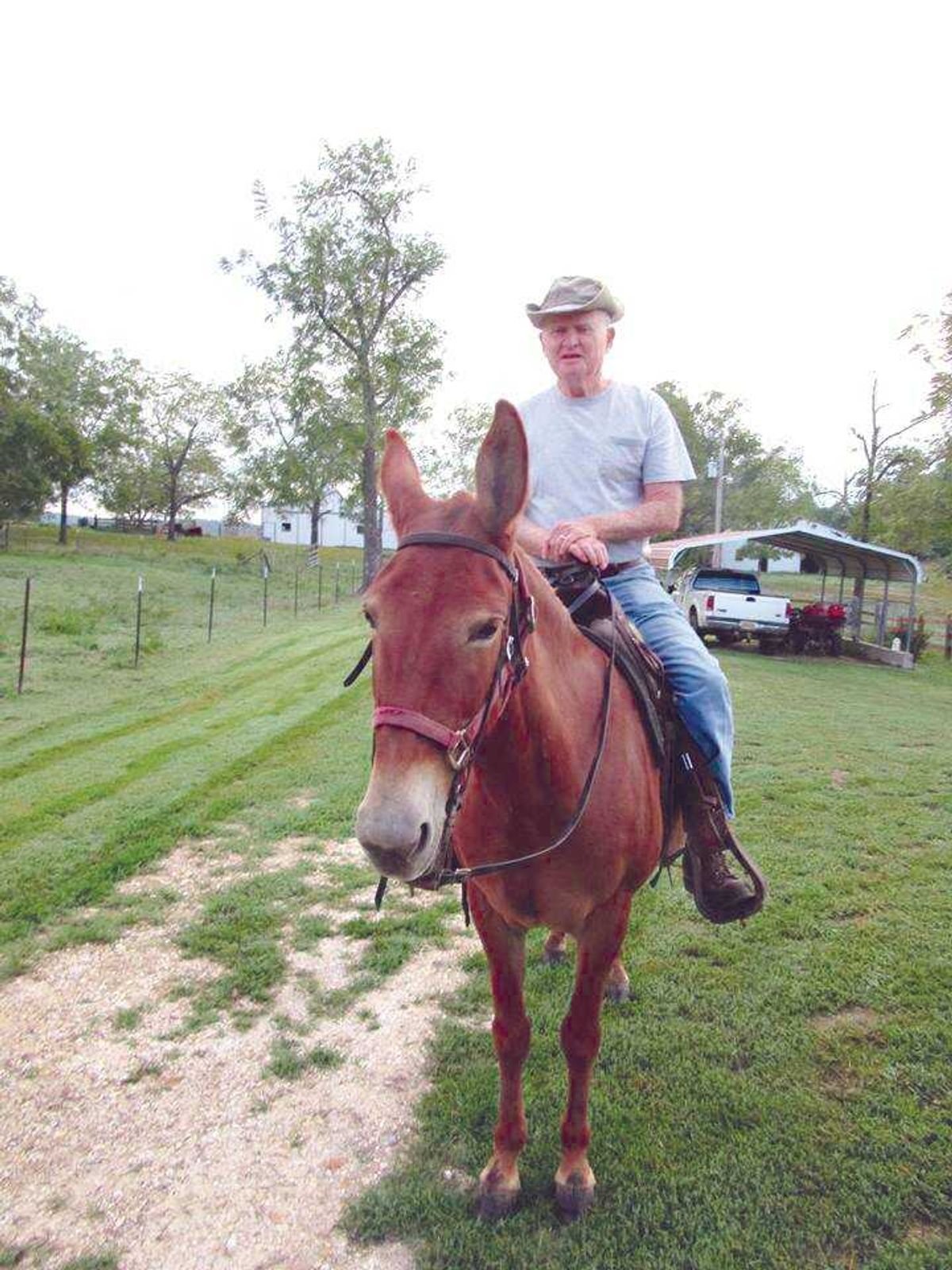 Missouri Mules: The Forgotten Heroes Of World War I