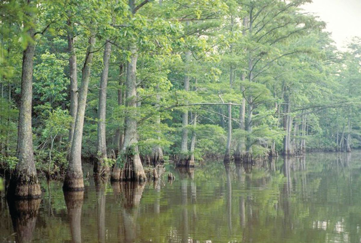 Explore these 8 unique MDC areas in southeast Missouri this ...