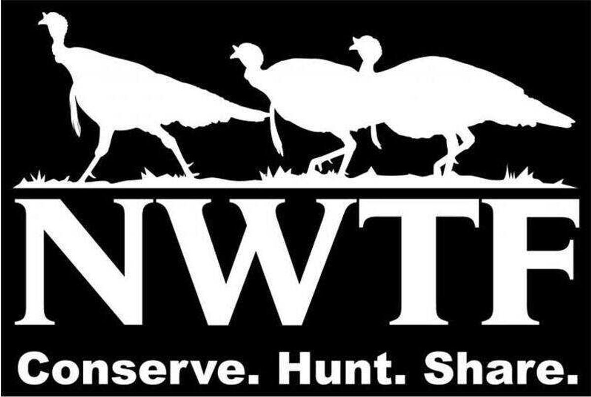 National Wild Turkey Federation 50th: Southern Ozark Longbeards To Hos...