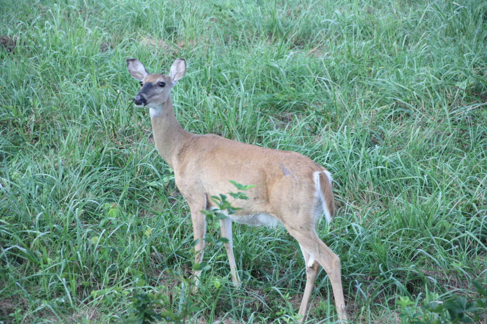 Mother Nature at her best at Mingo Wildlife Refuge