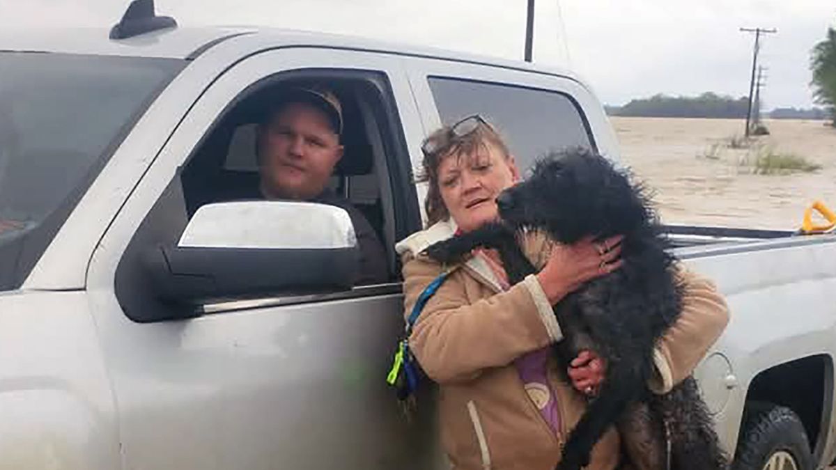 From rising waters Good Samaritan helps dog during flood