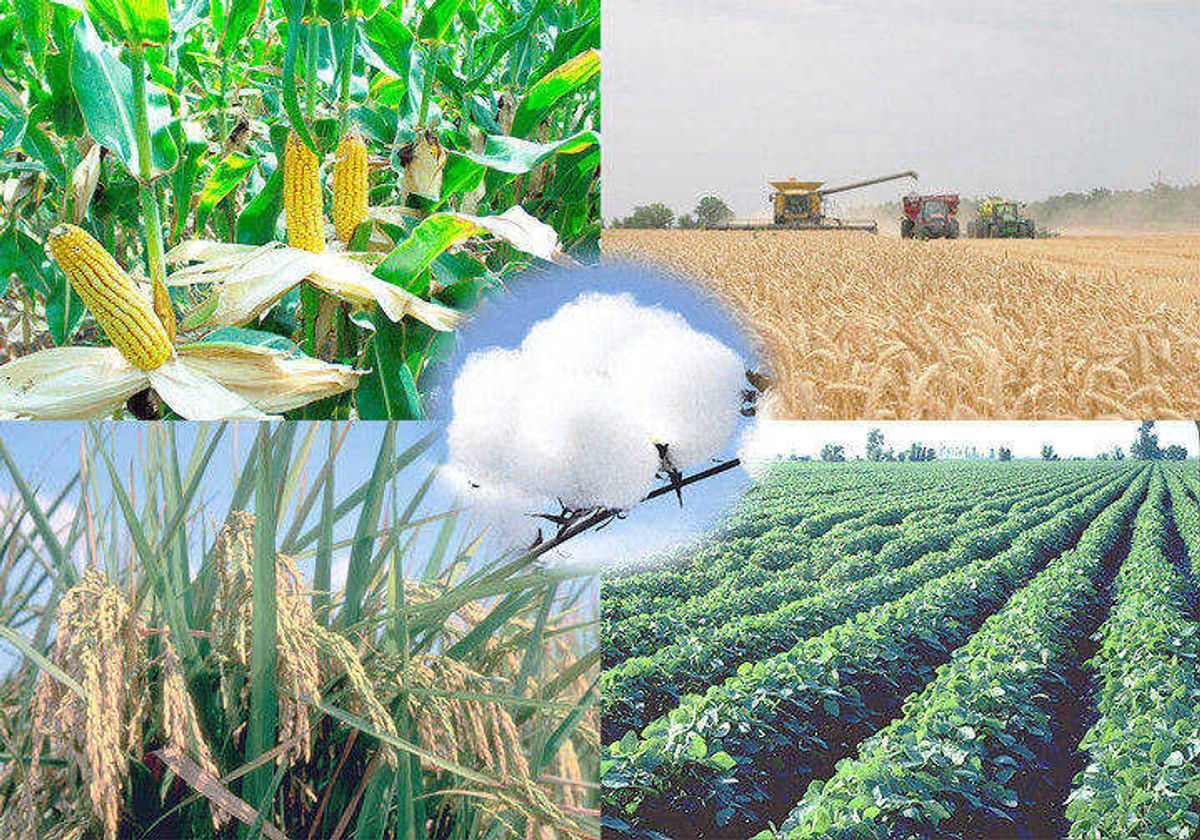 SEMO to offer new ag degree