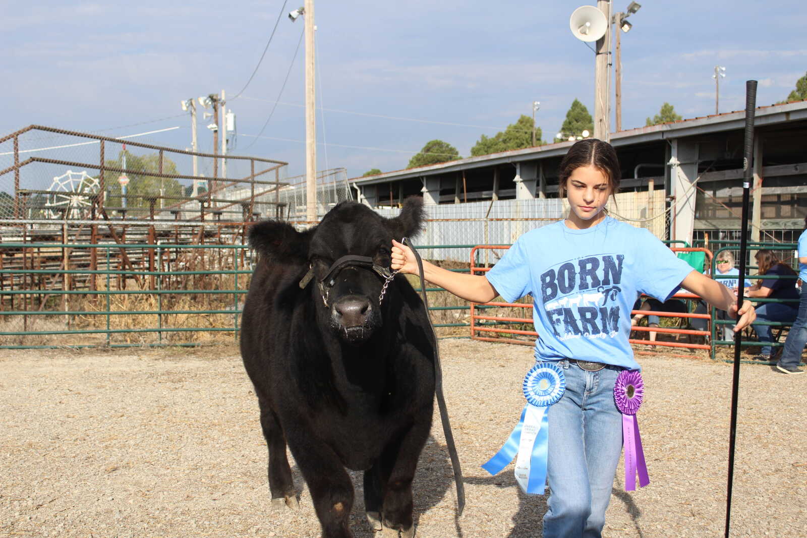 2022 4H/FFA Livestock Auction