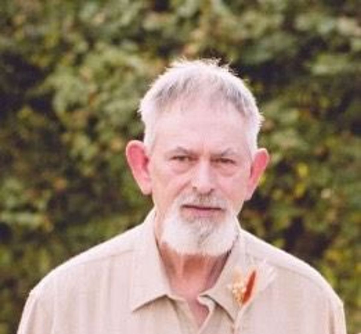 Terry Robinson