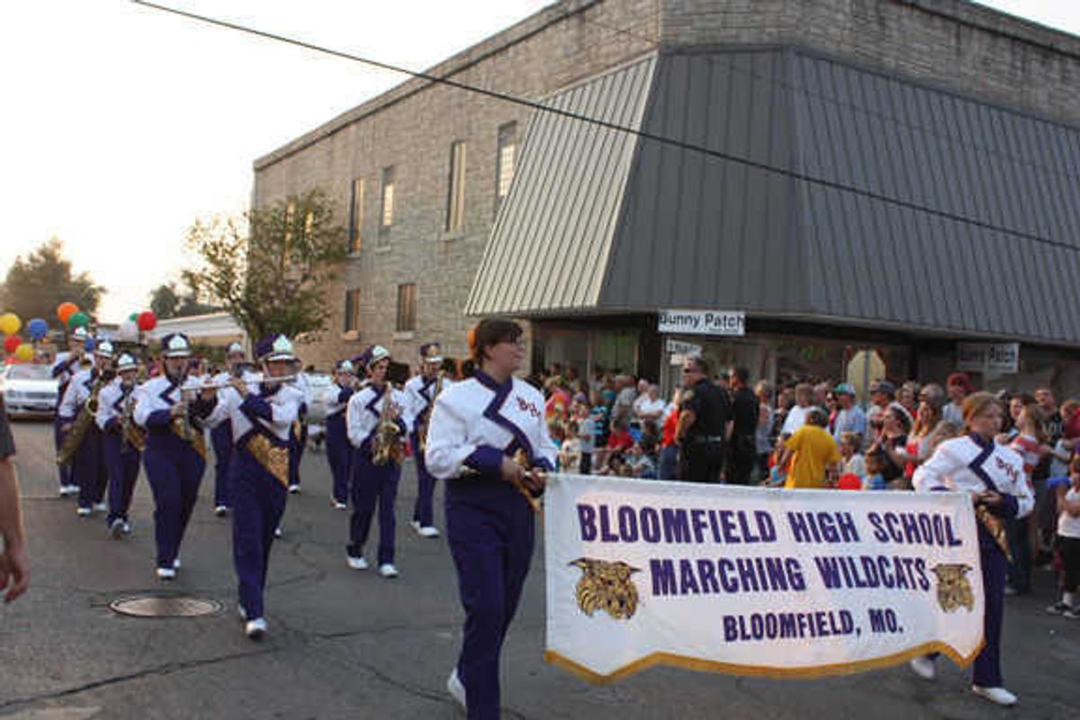 Scenes from Stoddard County Fair and Parade 2010