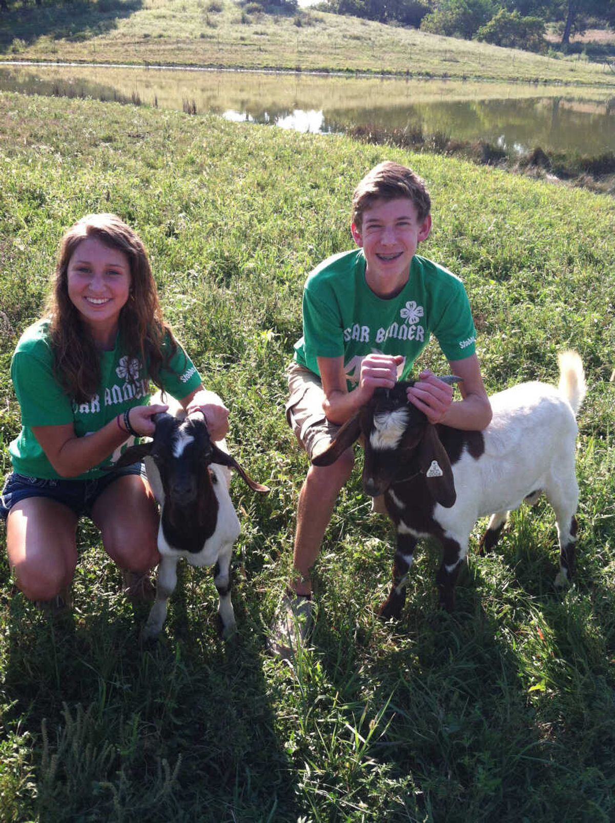 Siblings prepare goats to show