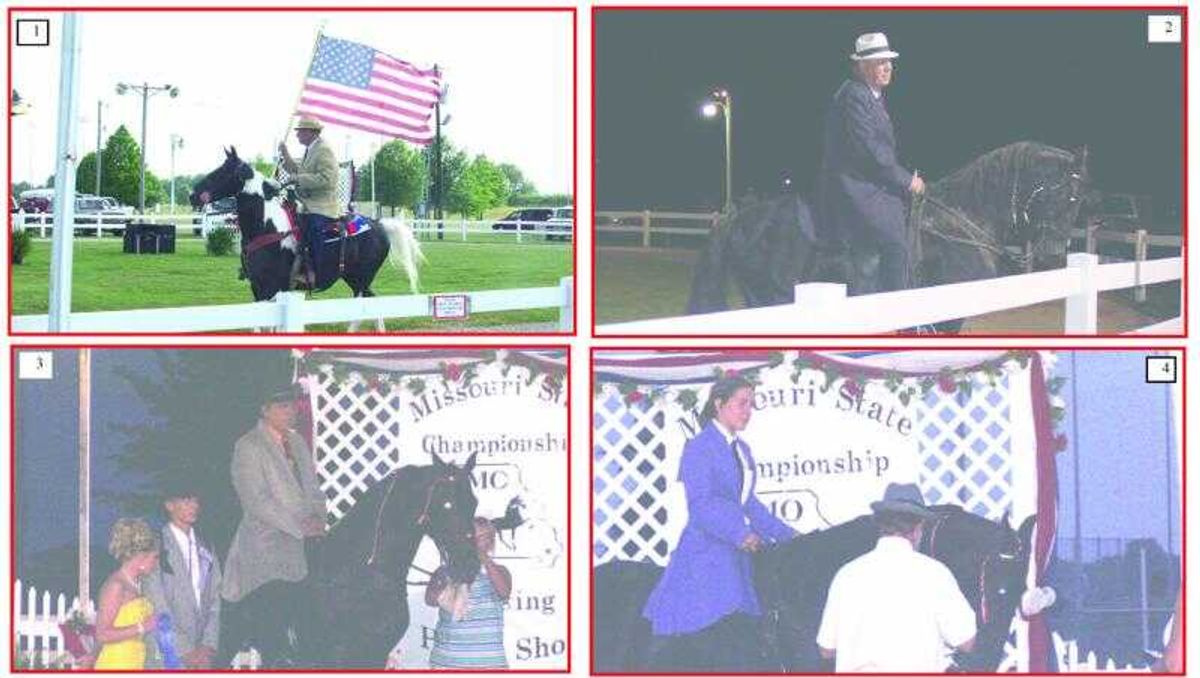 Chamber holds 28th annual Racking Horse championships