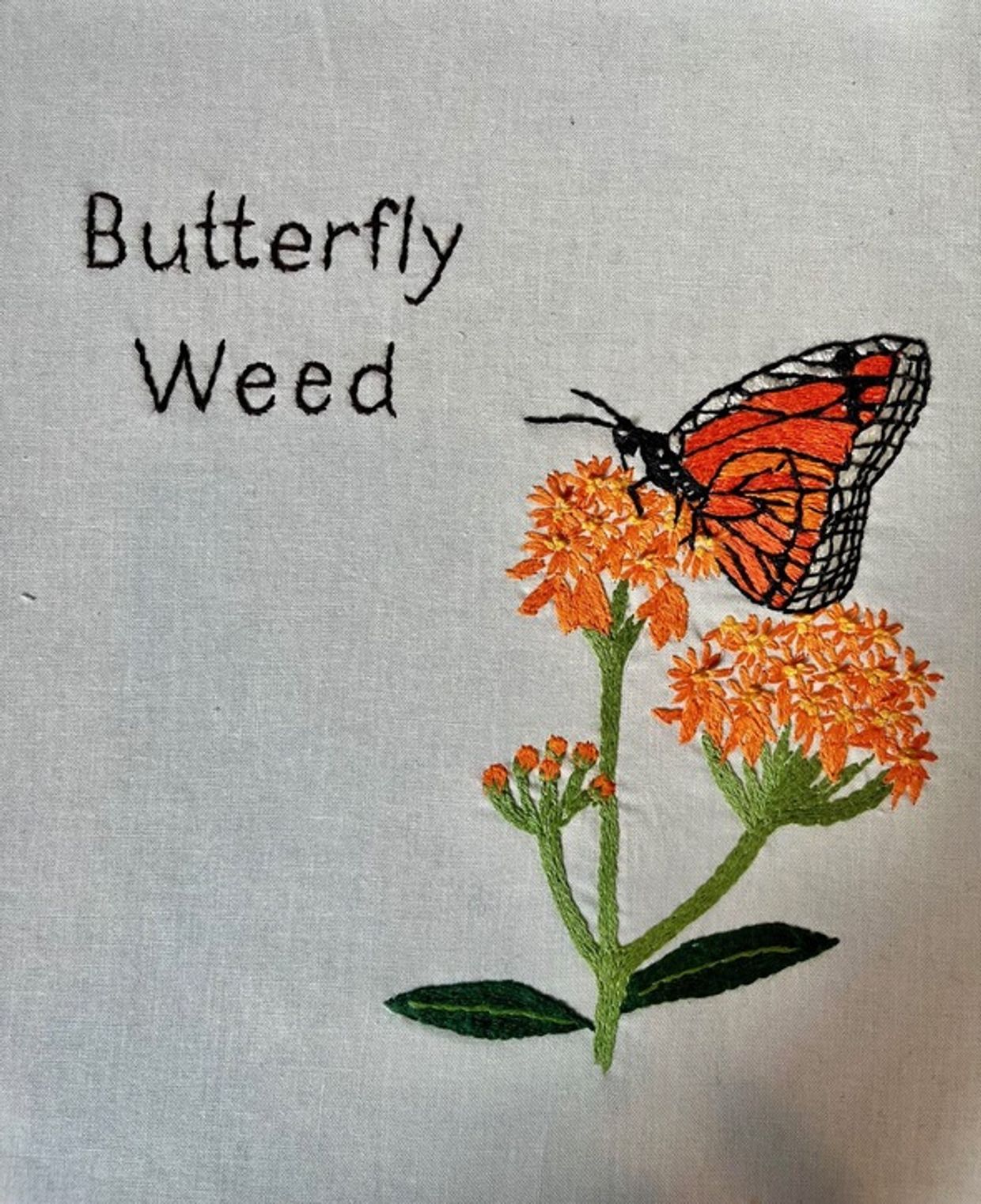 Stitching the swamp: nature-themed quilting series launches at Mingo r...