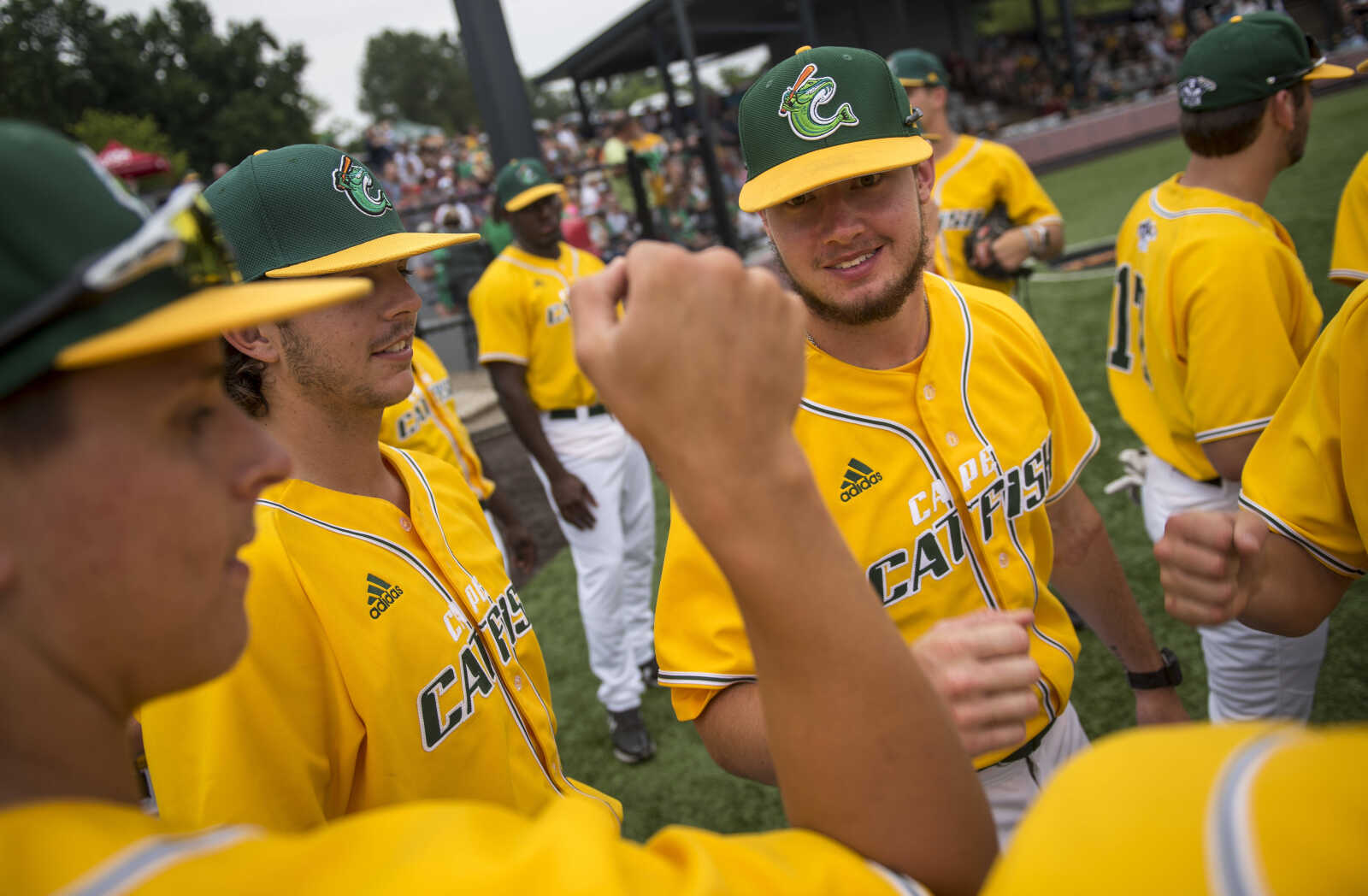 Cape Catfish Home Opener