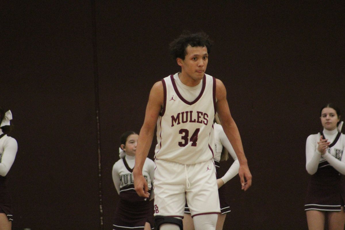 Mules trail from outset, fall to West Plains