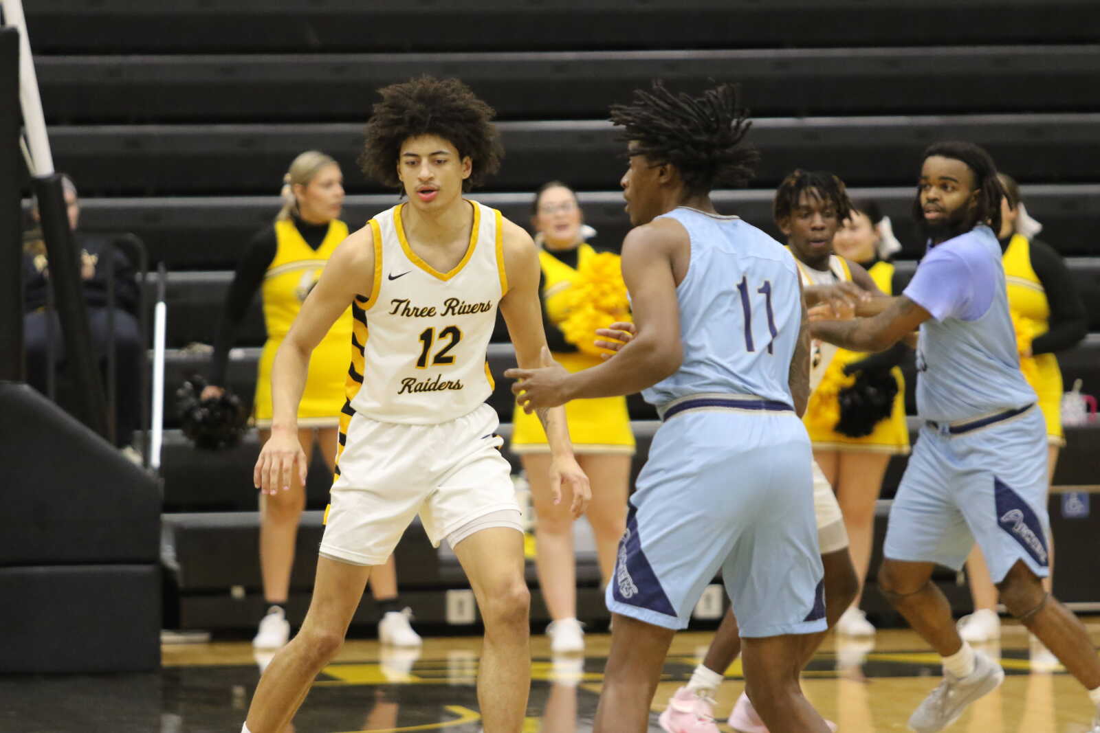Men's Basketball: Three Rivers Raiders vs St. Louis CC