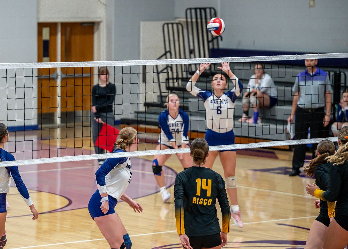 Holcomb Hornets rally past Risco in Tri-County volleyball showdown
