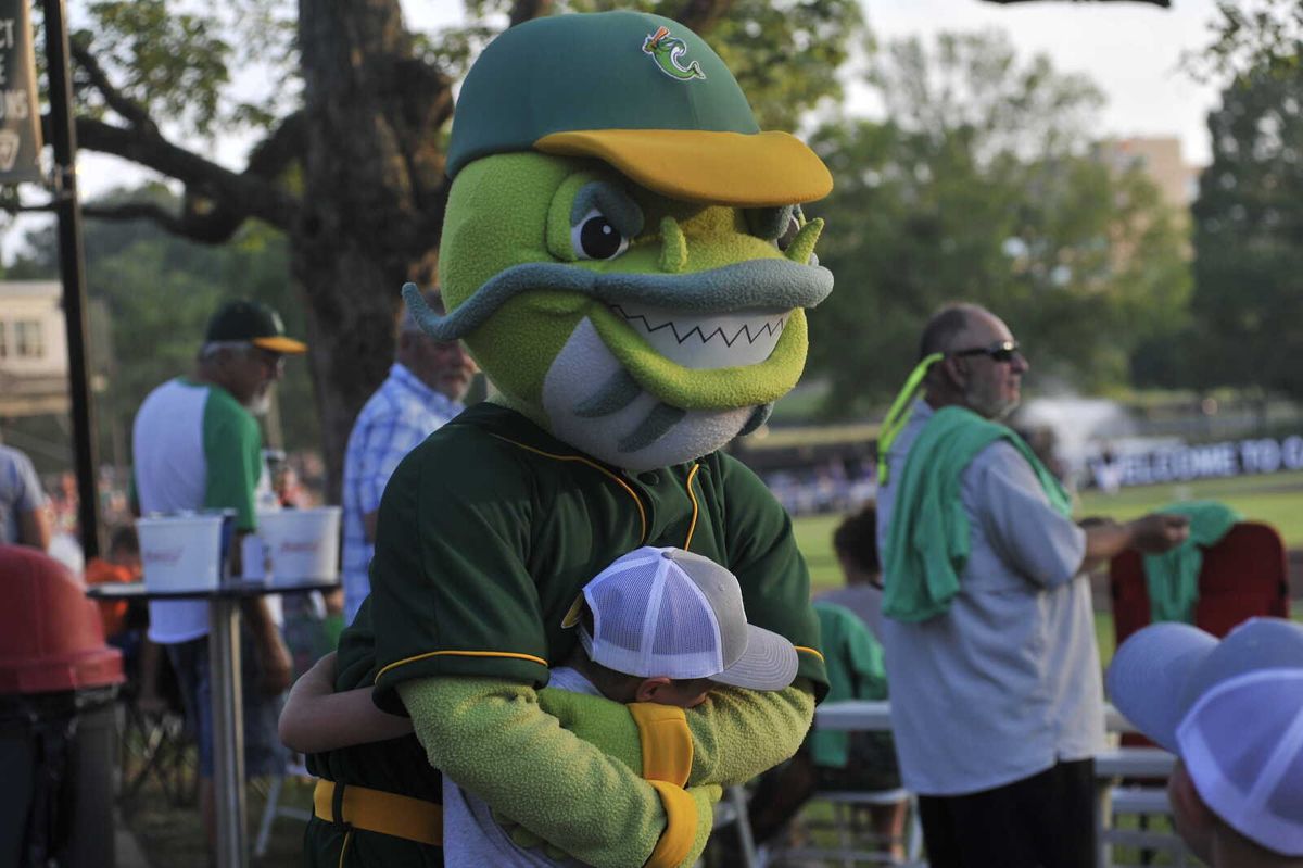 Numbers show Prospect League, Cape Catfish had a remarkable ...