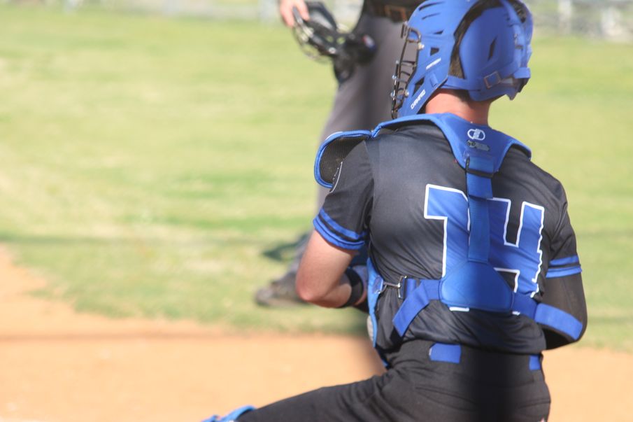 Standard Democrat area athletes recognized