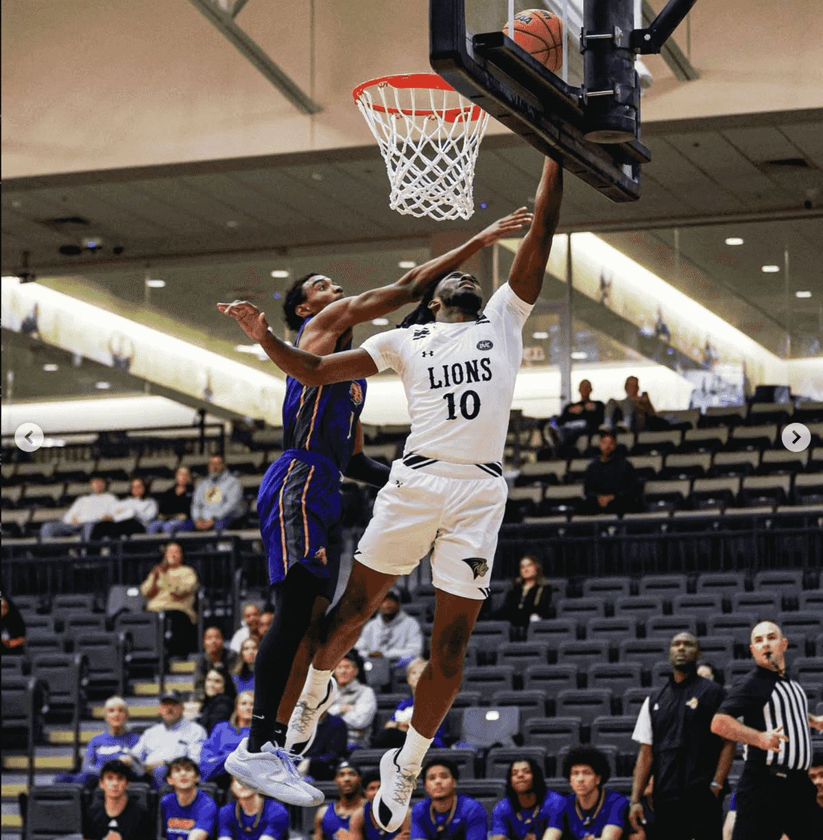 Area basketball talent making presence felt at next level