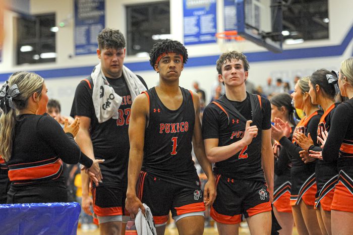 Photo gallery: St. Vincent vs. Puxico, C2 sectional boys basketball