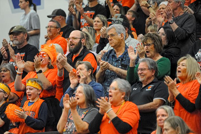 Photo gallery: St. Vincent vs. Puxico, C2 sectional boys basketball