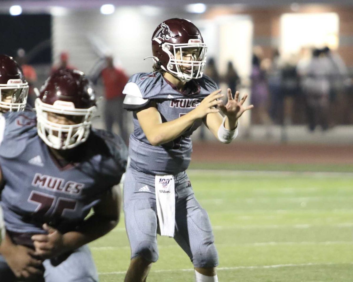 Mules ready for road battle with fox