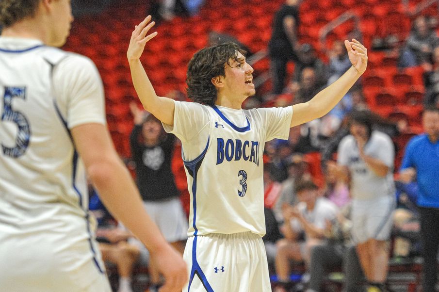 Delta upends Charleston, Cardiac 'Cats steal seMissourian fifth-place ...